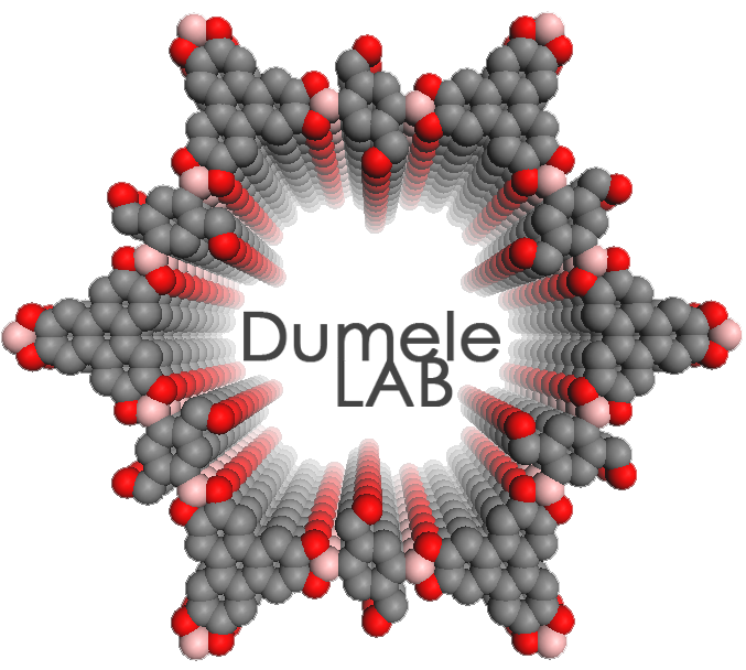 Dumelelab Functional Layered Materials By Organic Synthesis